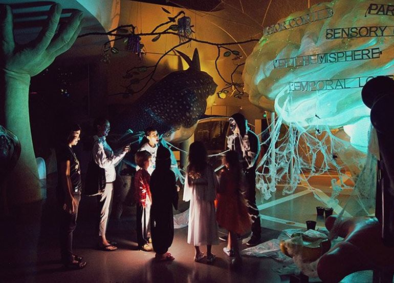 Everything You Need to Know about The Mind Museum | Booky