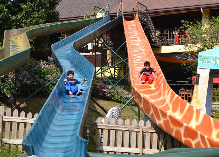 Gear up for the Ultimate Adventure Experience at Zoocobia Fun Zoo | Booky