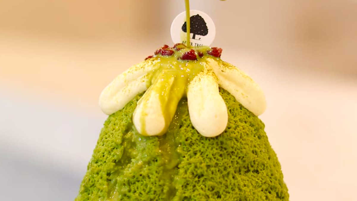 The Biggest After Tree Dessert Cafe Opens in SM MOA | Booky